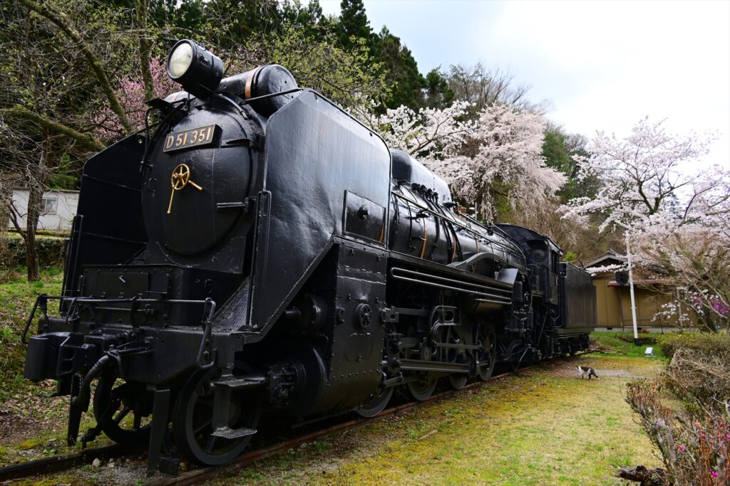 D51木曽路を走る | 是より木曽路